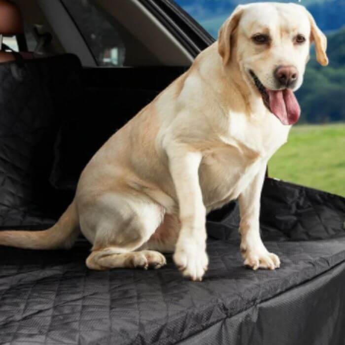 #1 Australia Boot Cover For Dogs Dog Cover For Car Dog Car Hammock By ...